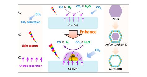 High Density Ultrafine Au Nanocluster Doped Co Ldh Nanocages For