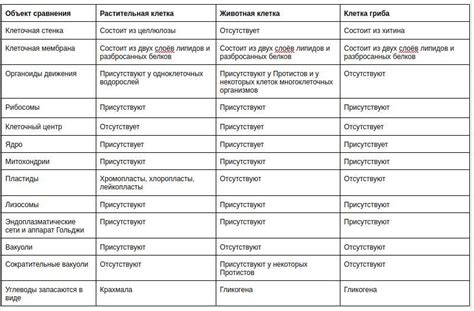 сходство и различия в строении клеток растений животных и грибов Школьные Знания Com