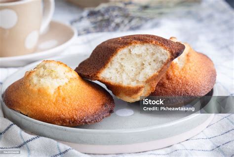 배경에 커피 한 잔과 함께 접시에 담긴 전통적인 프랑스 마들렌 한 조각을 닫습니다 갈색에 대한 스톡 사진 및 기타 이미지