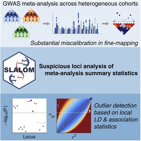 Meta Analysis Fine Mapping Is Often Miscalibrated At Single Variant