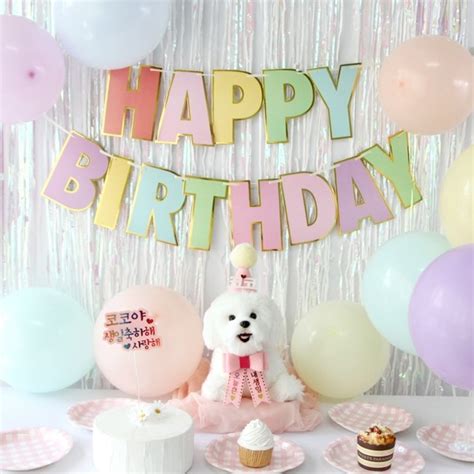 생일파티세트 페오펫몰
