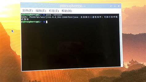 请教一下各位，大家设置树莓派开机自启动python程序，用的哪一种方法