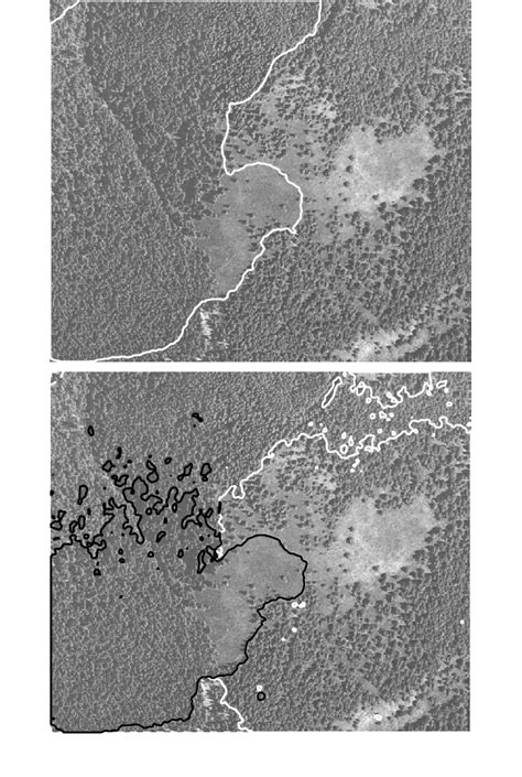 Unsupervised Segmentation Of The First Orthophoto Using Gabor Filters Download Scientific