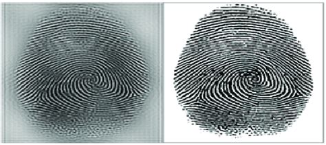 Fingerprint Before And After Binarization Download Scientific Diagram