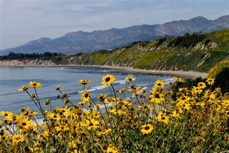 A Guide To Paddle Boarding Carpinteria State Beach California
