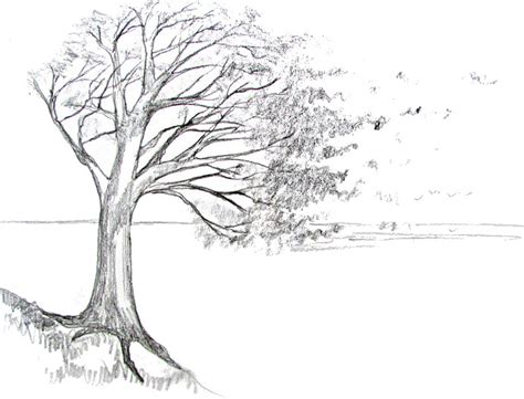How To Draw A Tree