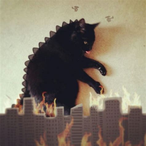 Godzilla Blep Silly Cats Pictures Black Cat Art Cat Art