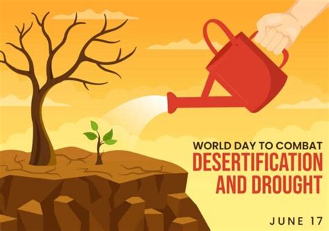 Time To Combat Desertification And Drought In Nigeria Daily Trust