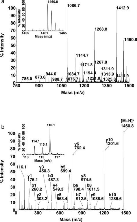 Verification Of Sample Preparation Purity Using Isobaric Peptide Download Scientific Diagram