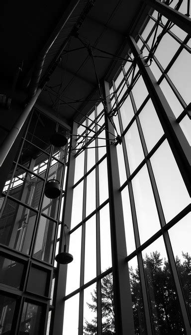 Free Light Through Structure Image Architecture Monochrome