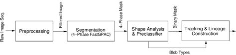 Process Flow Chart For Fluorescence Based Cell Segmentation And Lineage Download Scientific