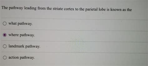 Solved The Pathway Leading From The Striate Cortex To The