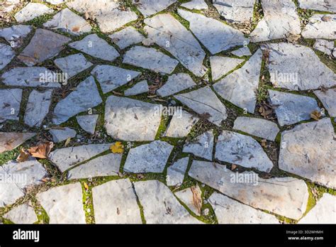 Overhead Full Frame View Of An Irregular Stone Paved Path With Green
