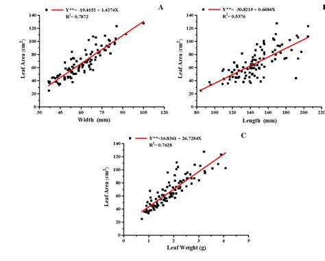 Relationship Between Leaf Area And Width A Leaf Area And Length B Download Scientific