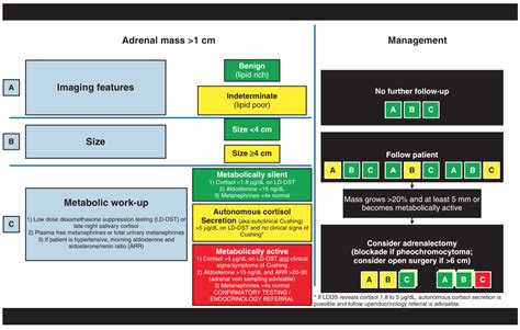 Adrenal Cancer Adrenal Cancer