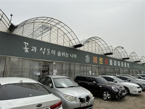 용인 남사 화훼단지 다육이 입양썰 네이버 블로그