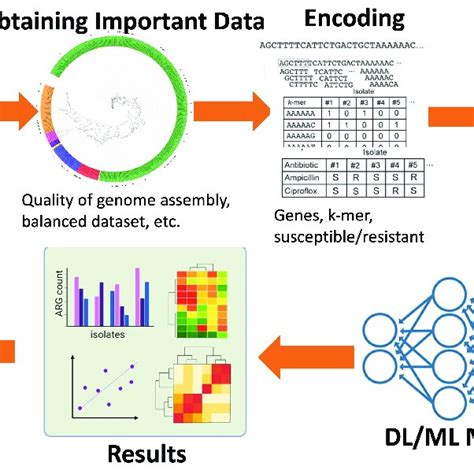 Overall Process Of Applying Machine Learningdeep Learning Models In