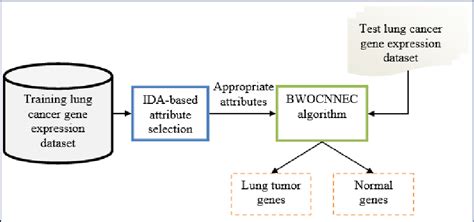 figure 1 from boosted weighted optimized convolutional neural network