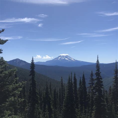 Mt Adams From The Pct Cispus Pass Loop Trail Goat Rocks Wilderness