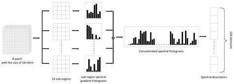 remote sensing free full text a spatial spectral feature descriptor