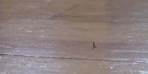 Free Giantess Unaware Porn Videos Sex Movies Tnaflix Com