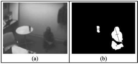 live image and processed binary image when a subject is sitting on the