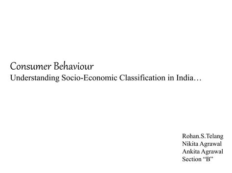 Sec Classification A Consumer Behavior Perspective Ppt Sec Classification A Consumer Behavior Perspective Ppt