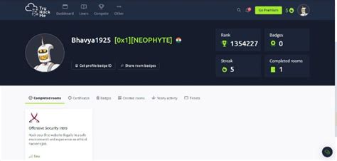 tryhackme cybersecurity ethicalhacking learningjourney