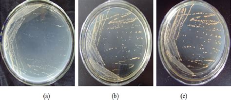 Table 1 From Isolation And Characterization Of Rhodococcus Ruber Cgmcc3090 That Hydrolyzes