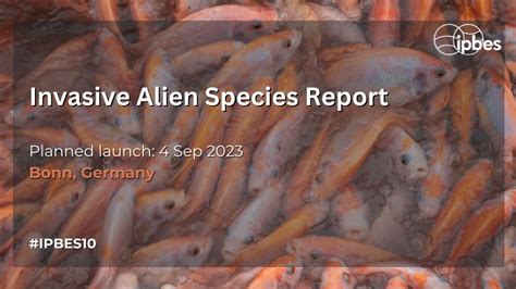 Ipbes On Linkedin Invasivealienspecies Ipbes10