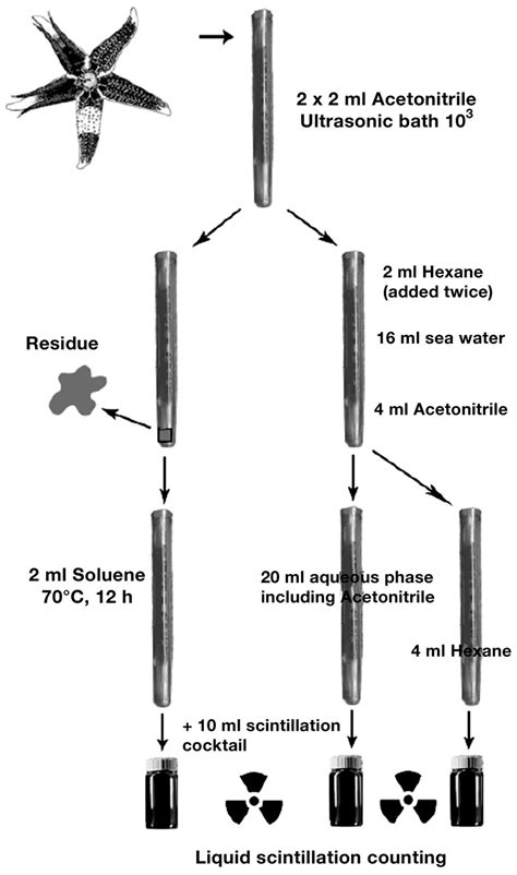schematic representation of sample processing before liquid