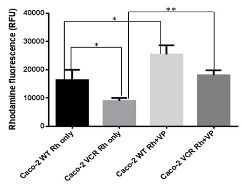 16 Effect Of Increased P Gp Expression And Presence Of A P Gp