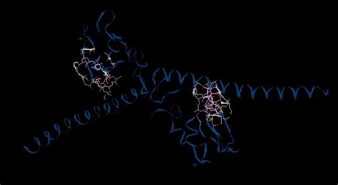 Docking Pose Between Lead Compound Remangilones A And Survivin