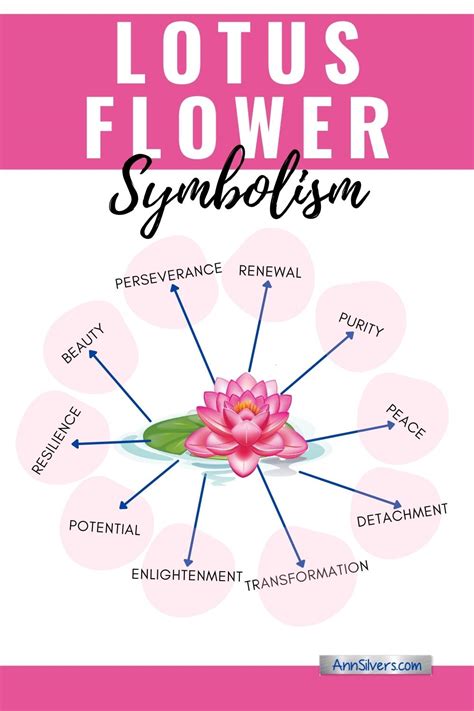 Lotus Flower Meaning Symbolism And Inspirational Quotes With Graphi