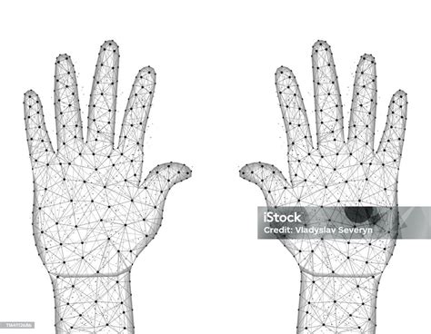 손바닥 낮은 폴리 디자인 다각형 스타일의 제스처 흰색 배경의 점과 선으로 만든 신체 부위 와이어 프레임 벡터 일러스트레이션 로우