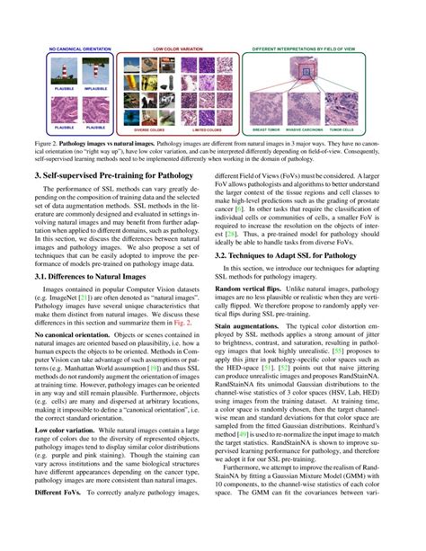 Benchmarking Self Supervised Learning On Diverse Pathology Datasets