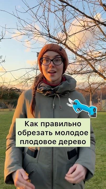 Инструкция по обрезке молодого плодового дерева Продолжение в следующем видео Youtube