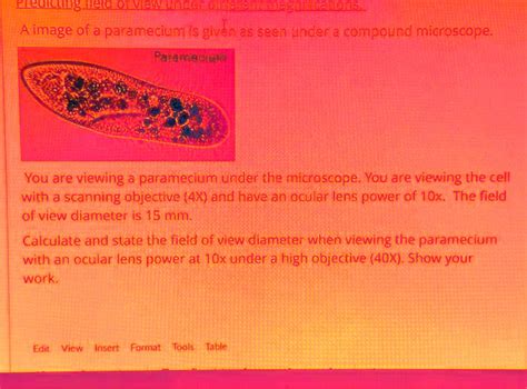 Solved Texts An Image Of A Paramecium Is Given As Seen Under A
