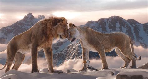 7 Questions Mufasa Answers About The Original Lion King
