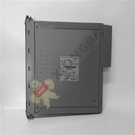T8310 ICS TRIPLEX TMR Expander Processor ICS TRIPLEX Xiamen Xiongba E Commerce Co Ltd