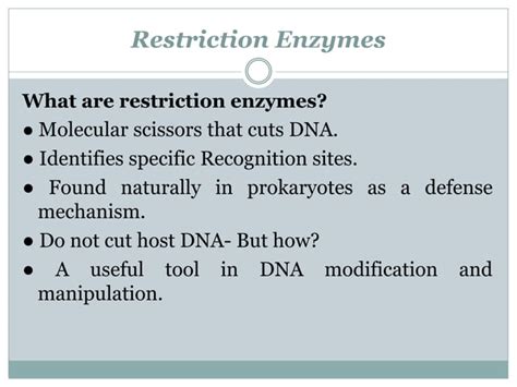 Restriction Modification System Types Of Restriction Enzymes Pptx