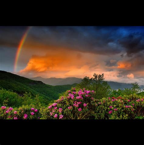 Хороскопът за днес 11 август БЛИЗНАЦИ не вярвайте на думите колкото и да са примамливи ЛЪВ