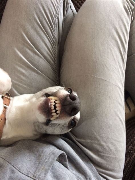 Sleeping Beauty Scrolller