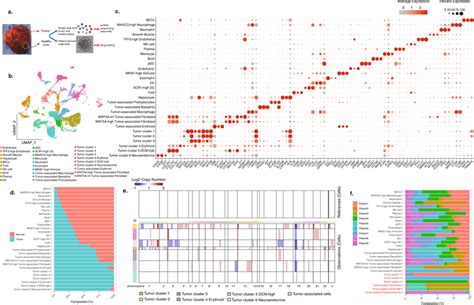 Single Cell Profiling Of Hb Patients Reveals Distinctive Tumor Cell