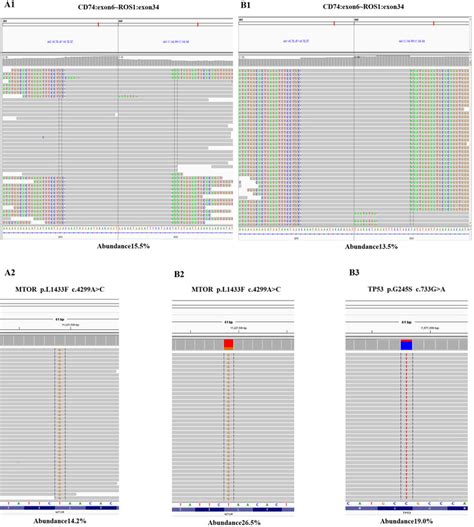 A1 And A2 Next Generation Sequencing Ngs Reads Showing The Download Scientific Diagram