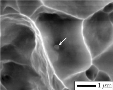 Voids On A Polished And Etched Cross Section Near The Fracture Surface Download Scientific