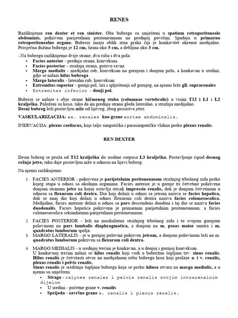 Urogenitalni Sistem Finalna Verzija1145 Pdf