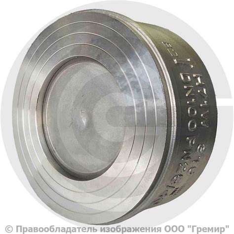 Клапан обратный нержавеющий Ду-100 Ру-25 D71-H71W-16/25 ABRA купить в ...
