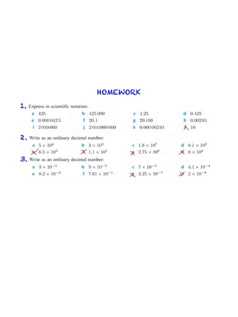 lesson 2 homework pdf
