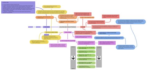 Holism And Reductionism Macro Oip 5